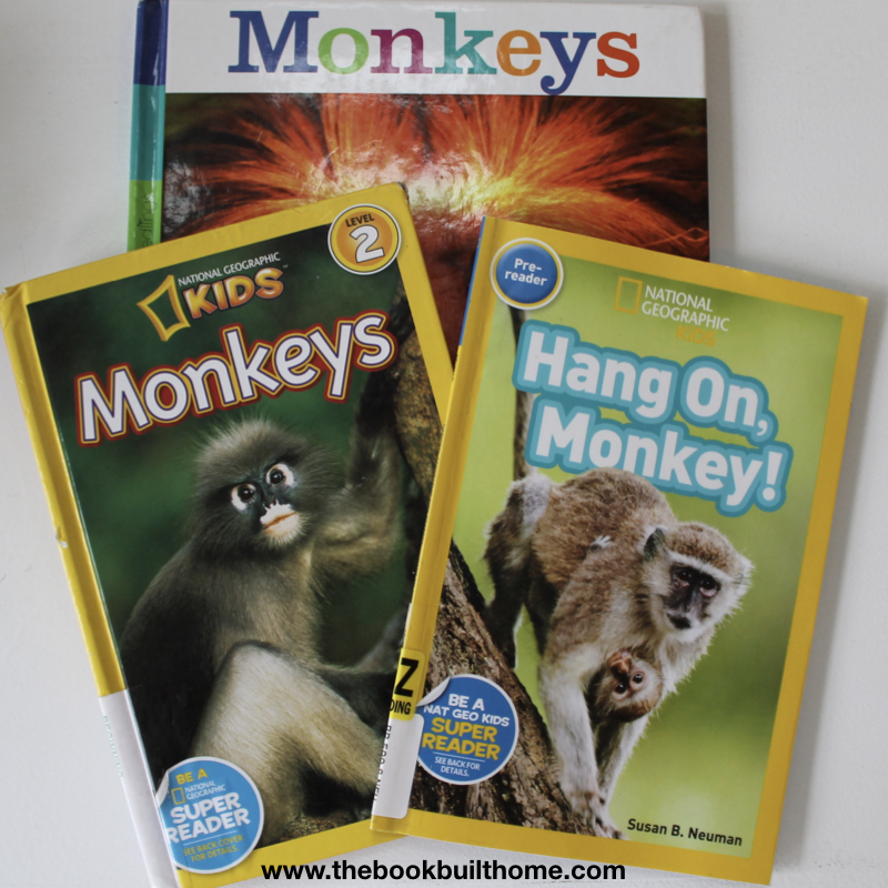 M is for Monkey Book List – The Book Built Home
