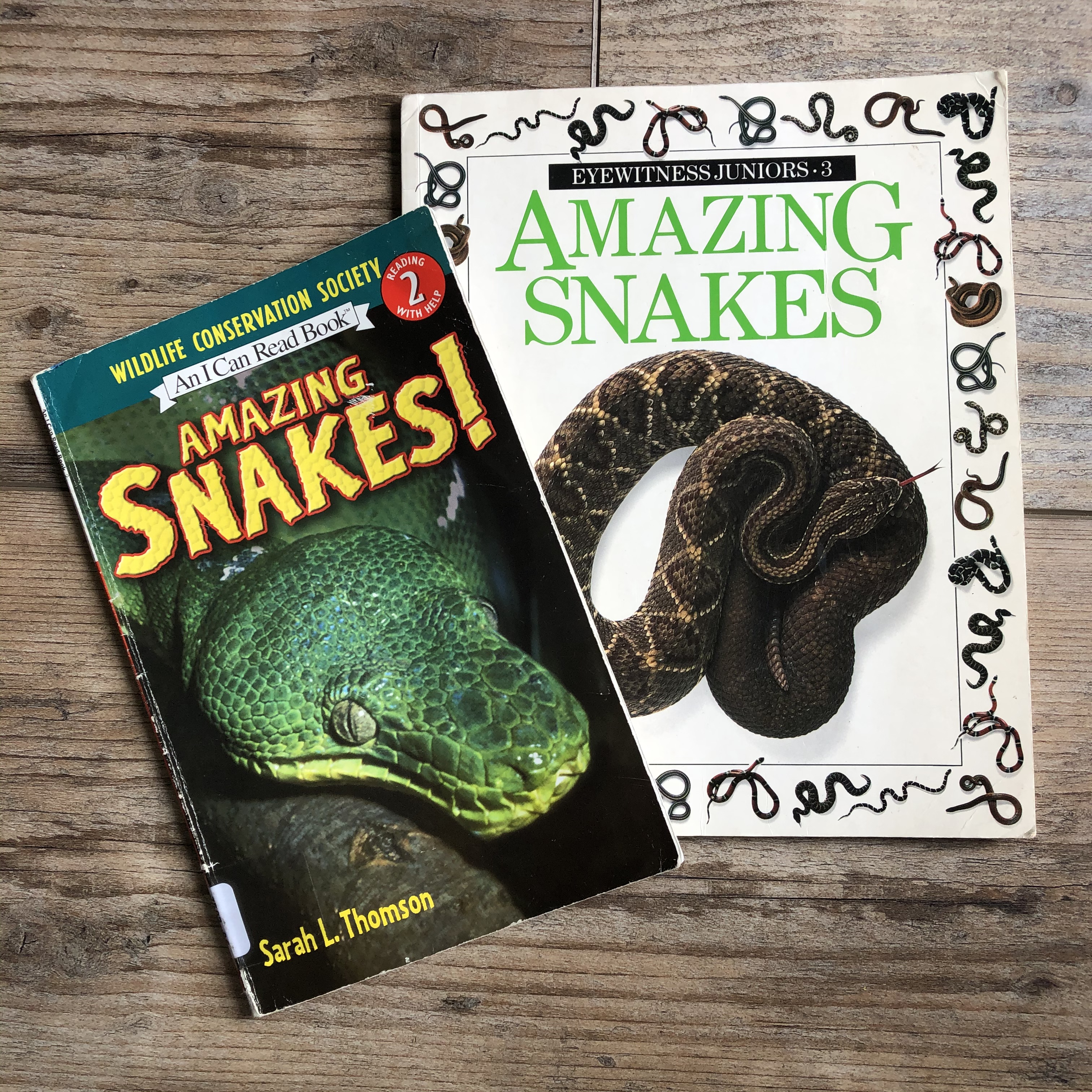 S is for Snake: Book and Activity List – The Book Built Home