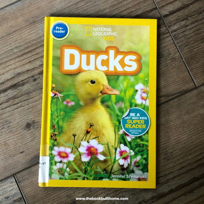 Q is for Quack Book and Activity List – The Book Built Home