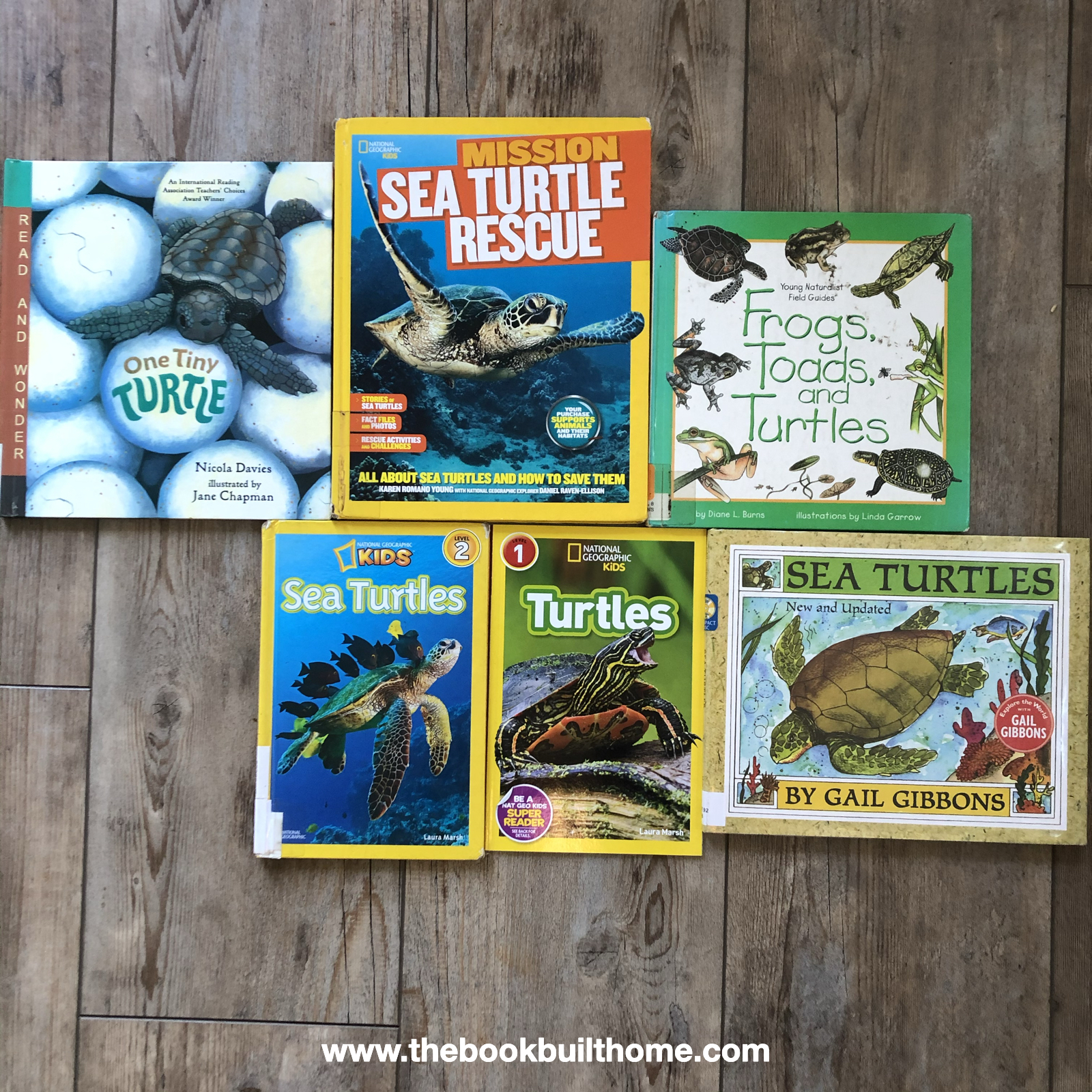 T is for Turtle: Book and Activity List – The Book Built Home