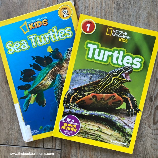 T is for Turtle: Book and Activity List – The Book Built Home